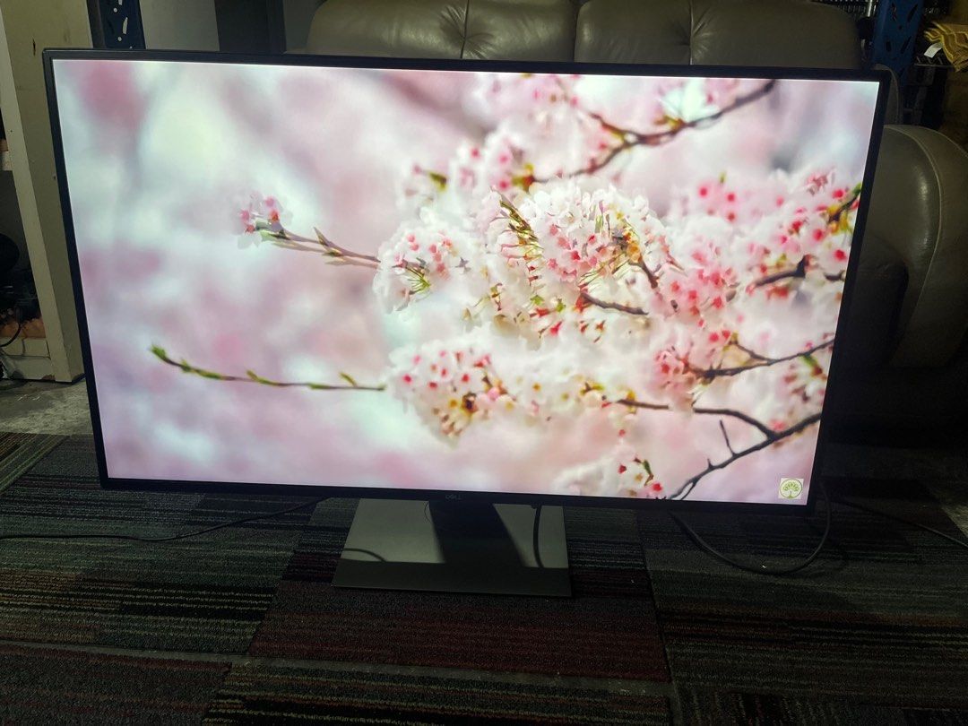 Dell UltraSharp U4320Q 4K USB-C Monitor | 42.5-inch 4K(3840x2160 ...