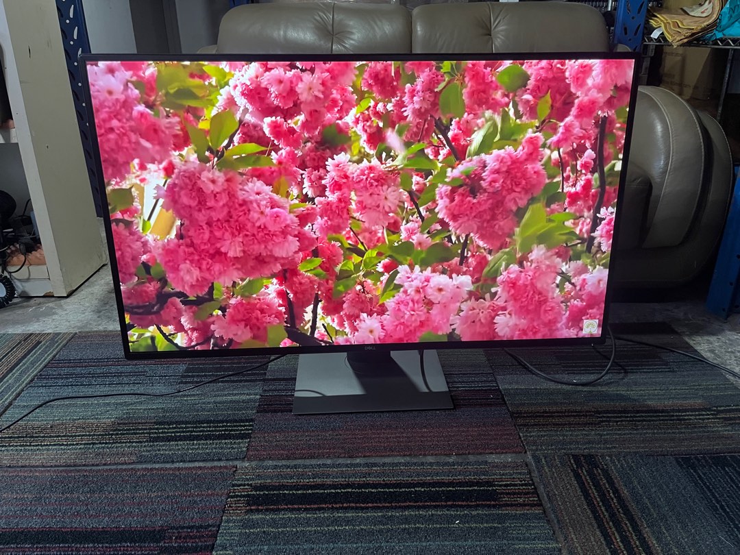 Dell UltraSharp U4320Q 4K USB-C Monitor | 42.5-inch 4K(3840x2160 ...