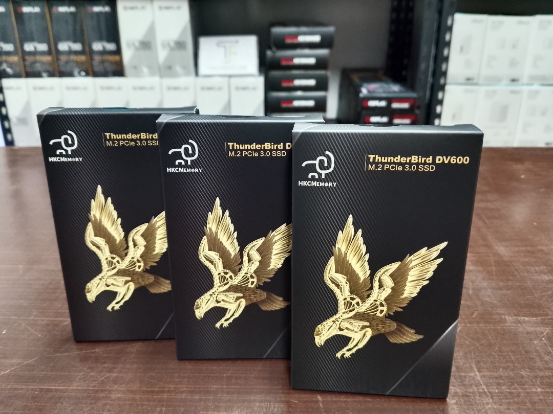 HKC Thunderbird DV600 M.2 NVMe PCIe Gen 3 SSD 1TB, Computers & Tech ...