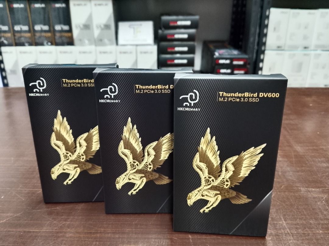 HKC Thunderbird DV600 M.2 NVMe PCIe Gen 3 SSD 1TB, Computers & Tech ...