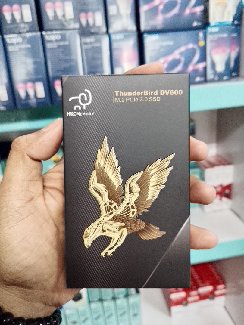 HKC Thunderbird DV600 M.2 NVMe PCIe Gen 3 SSD 1TB, Computers & Tech ...