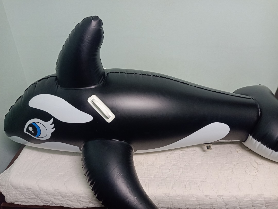 Large Inflatable Orca Pool Float (Pelampung Ikan Paus), Hobbies & Toys ...