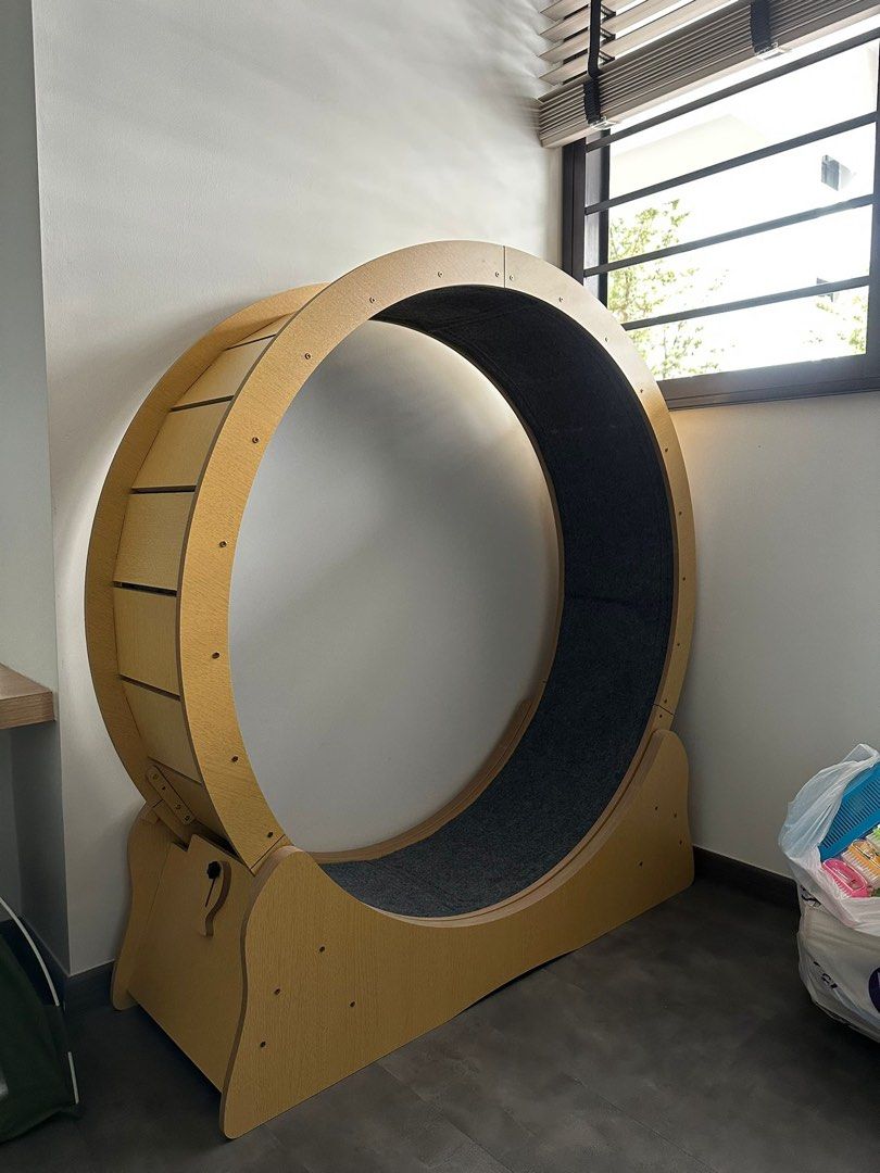 XL Cat Exercise Wheel, Pet Supplies, Homes & Other Pet Accessories on ...