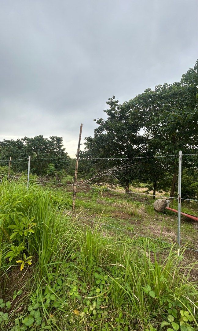 DRT Bulacan Property , Property, For Sale, Lot on Carousell