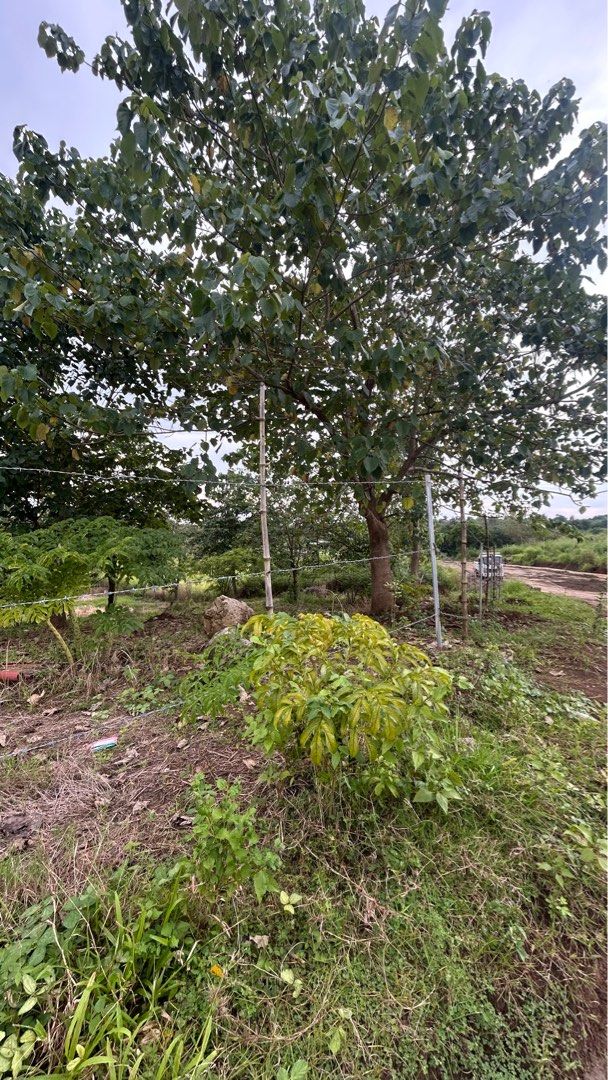 DRT Bulacan Property , Property, For Sale, Lot on Carousell