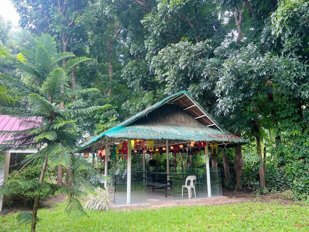 AGRICULTURAL FARM LOT WITH REST HOUSE IN QUEZON , Property, For Sale ...