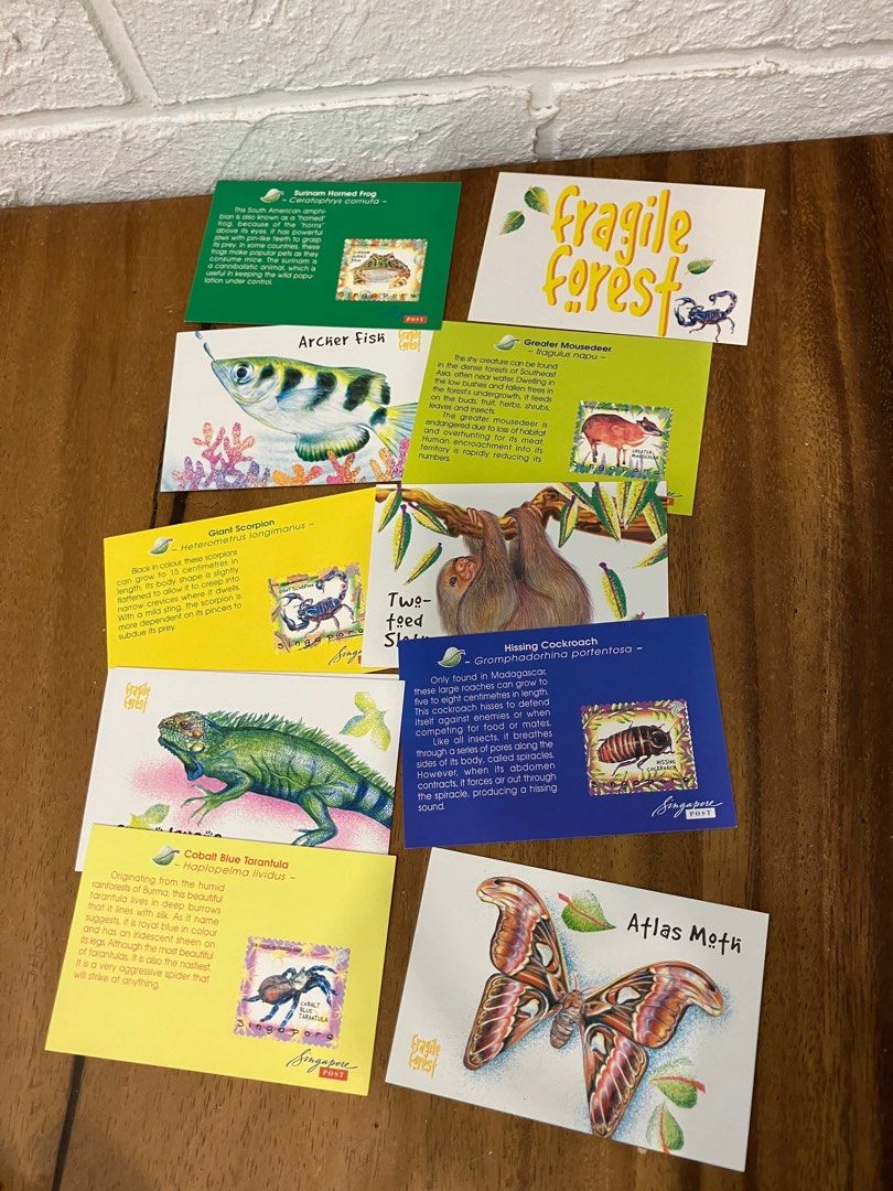 Fragile forest stamp collection , Hobbies & Toys, Memorabilia ...