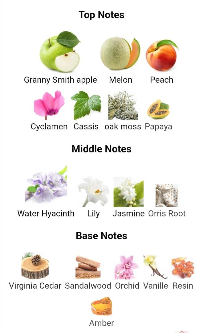 Hugo Boss Woman Perfume Decant Sample, Beauty & Personal Care ...