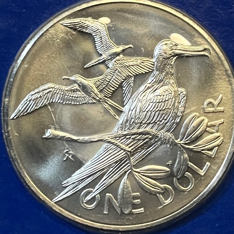 1973 British Virgin Islands Matte Silver Proof One Dollar Coin, Hobbies ...