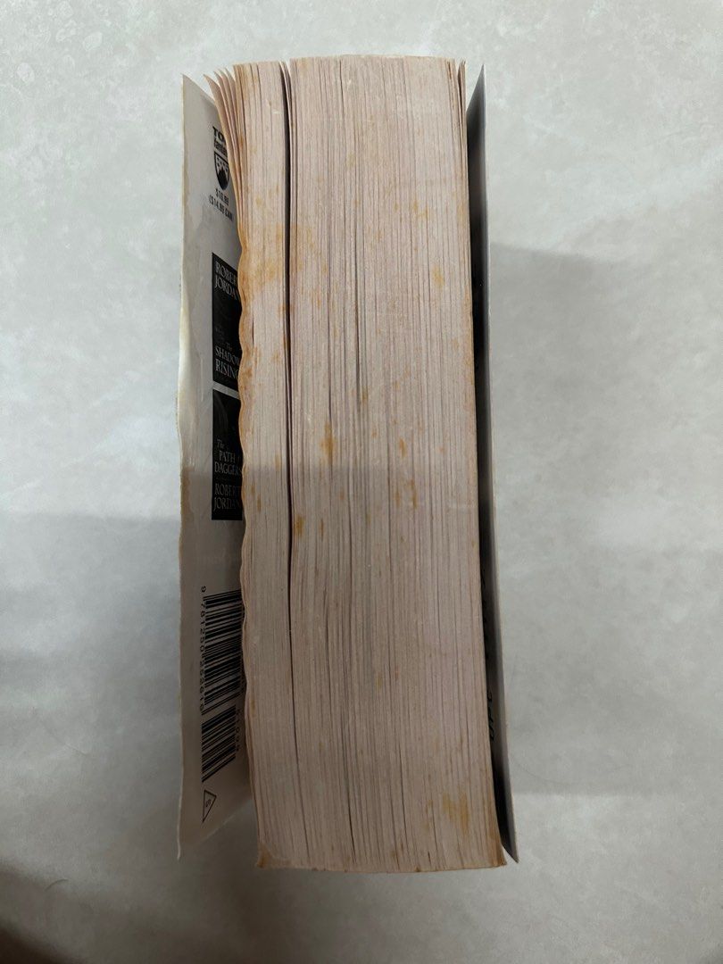 The Wheel of Time: Towers of Midnight, Hobbies & Toys, Books ...