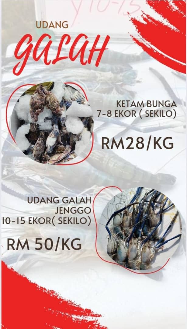 Udang Galah & Ketam Bunga, Hobbies & Toys, Stationery & Craft, Craft ...