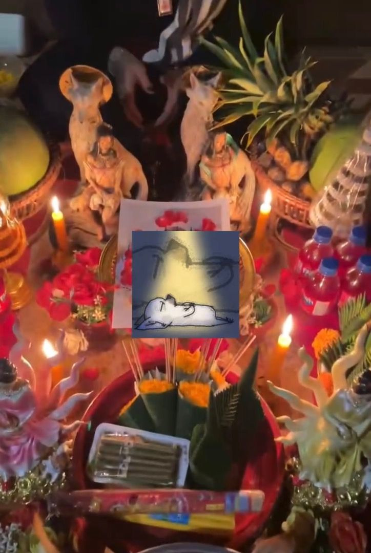 9 Tail Fox Ritual Charming Attraction Well loved by everyone, Hobbies ...