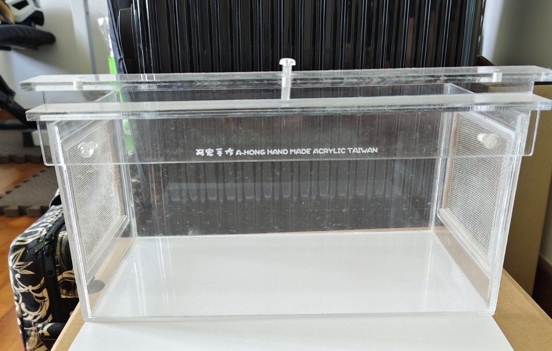 A-Hong Handmade Acrylic Terrarium, Hobbies & Toys, Stationery & Craft ...