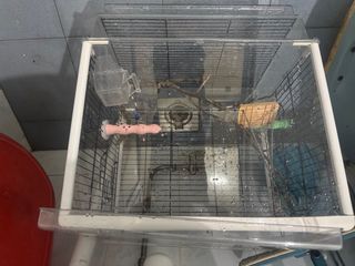 Black Bird Cage with Wheels, Pet Supplies, Homes & Other Pet ...