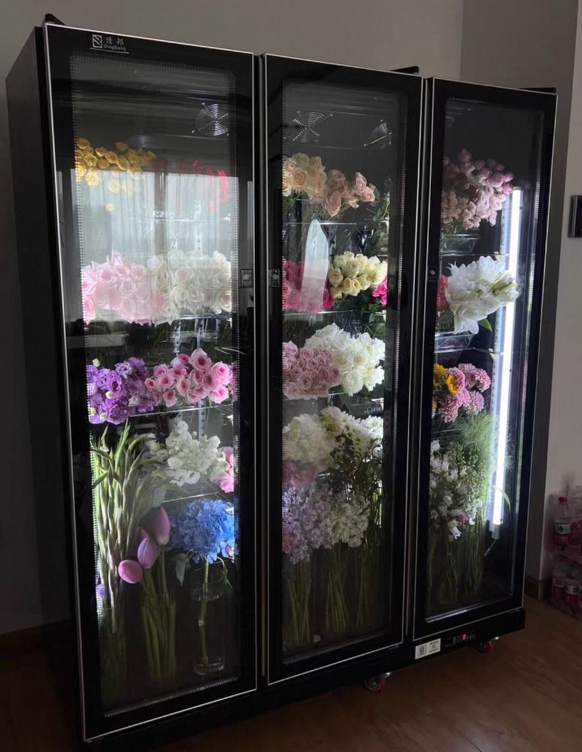 【香港三腳插頭】鮮花櫃冷藏保鮮展示櫃#單門雙門風冷無霜鮮花水果雪櫃Refrigerator, 家庭電器, 廚房電器, 雪櫃及冰櫃 ...