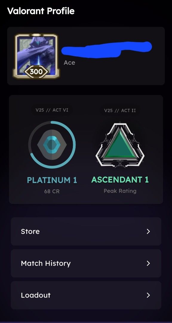 WTS Valorant Level 300 Account Peak Ascendant 15 premium skins, Video ...