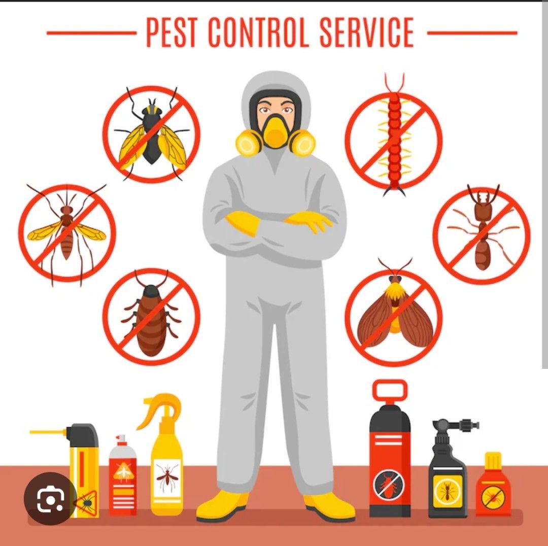 Pest control car wash detailing toyota hiace auto, Jobs, Transport ...