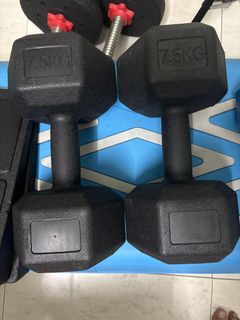 12.5KG Hex Dumbbells - Pair, Sports Equipment, Exercise & Fitness ...