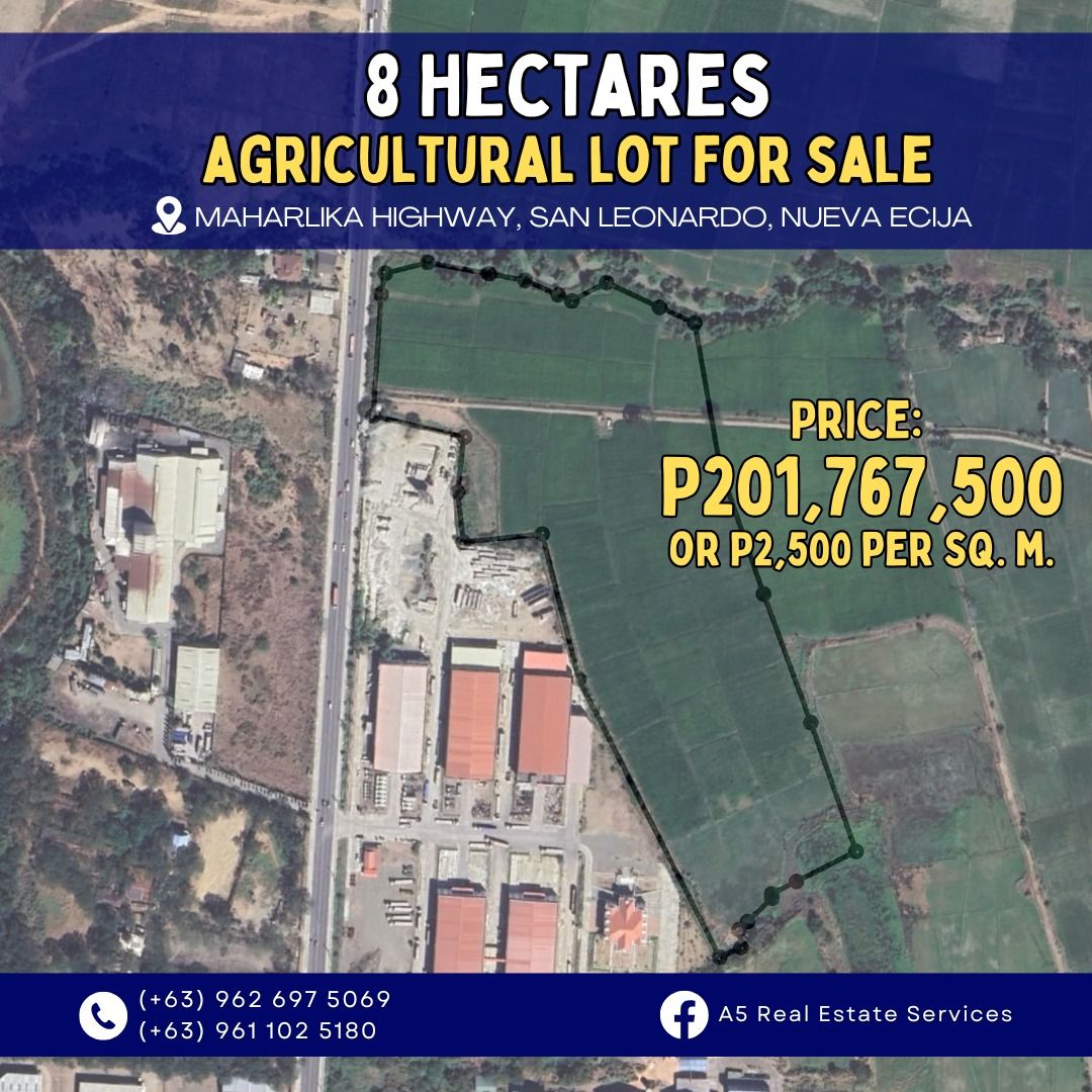 8 Hectares Lot for Sale Along Maharlika Highway, San Leonardo, Nueva ...
