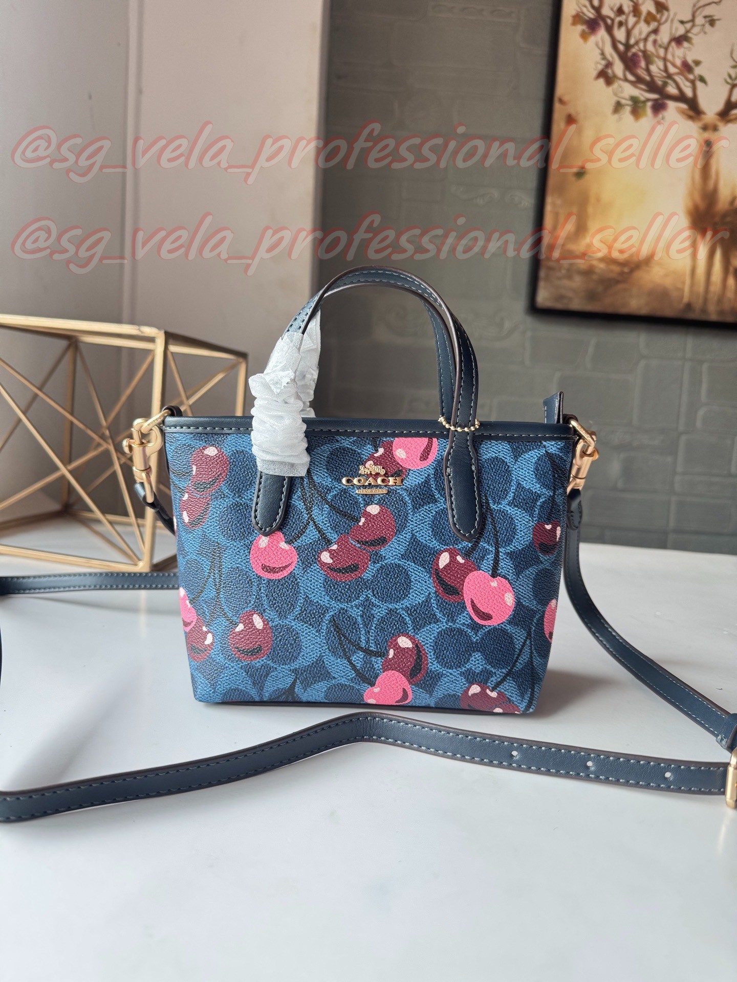 COACH CW032 Tote Shoulder Bag, Luxury, Bags & Wallets on Carousell