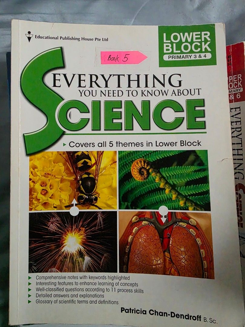 Everything You Need to Know About Science - Primary 5 & 6, Hobbies ...