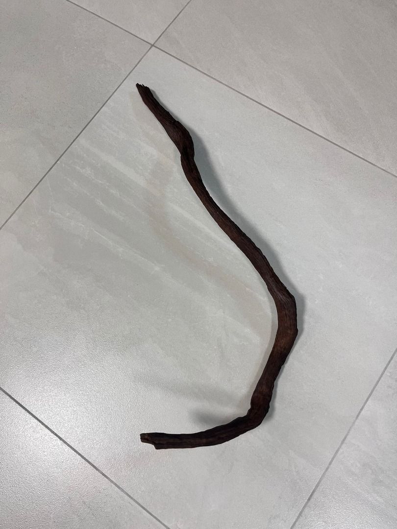 Long Aquarium Driftwood Fish Tank Arowana Discus Stingray Altum Pleco ...