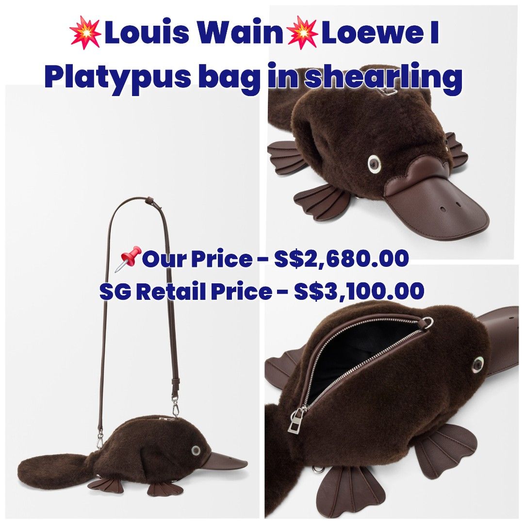 💥Louis Wain💥Loewe I Platypus bag in shearling, Luxury, Bags & Wallets ...