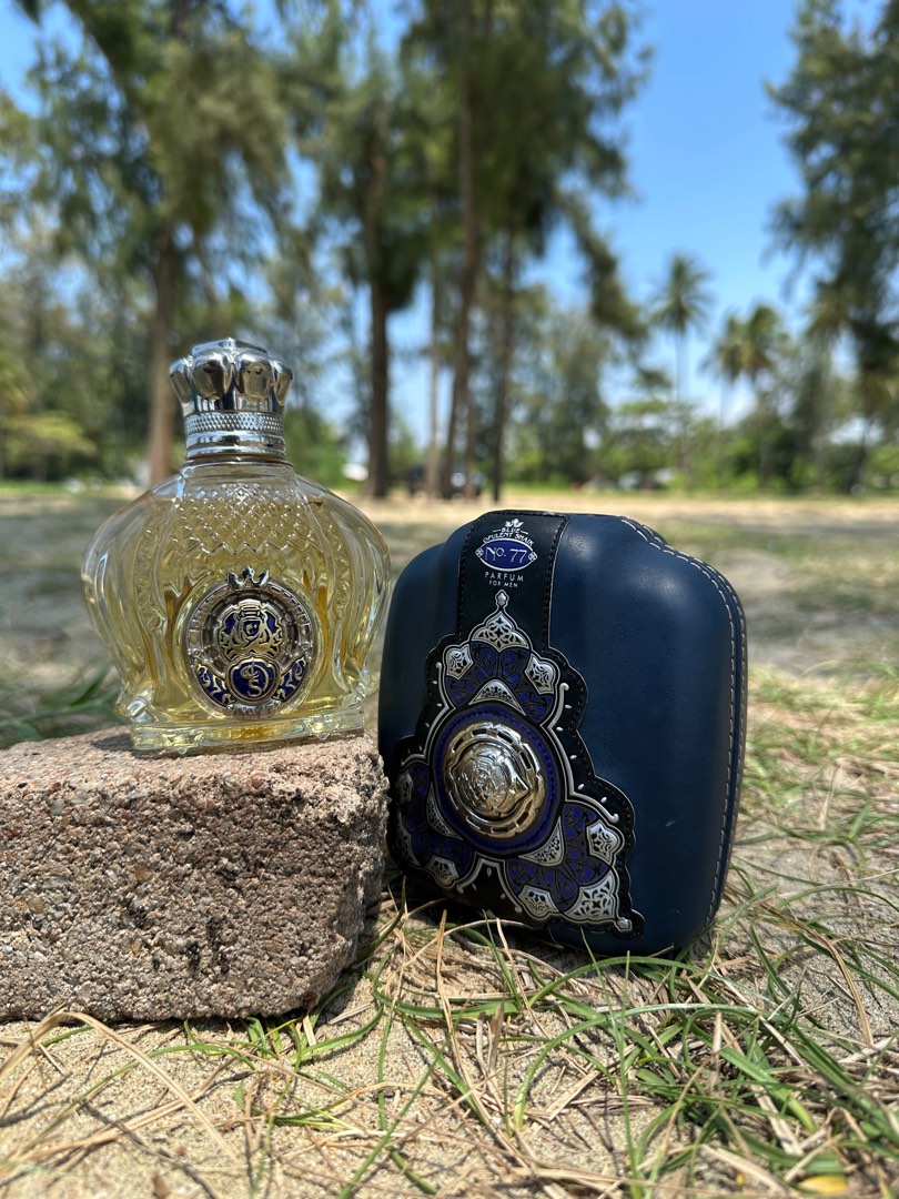 Original Shaik Opulent Shaik 100ml for Men, Beauty & Personal Care ...