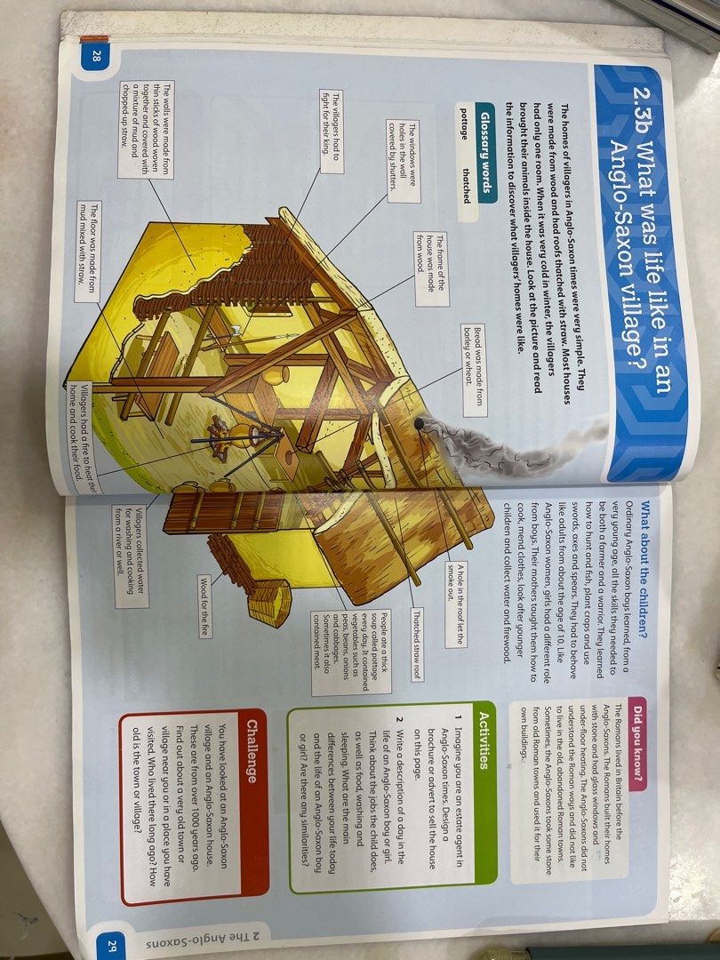 Oxford International Primary History - Grade 5, Hobbies & Toys, Books ...