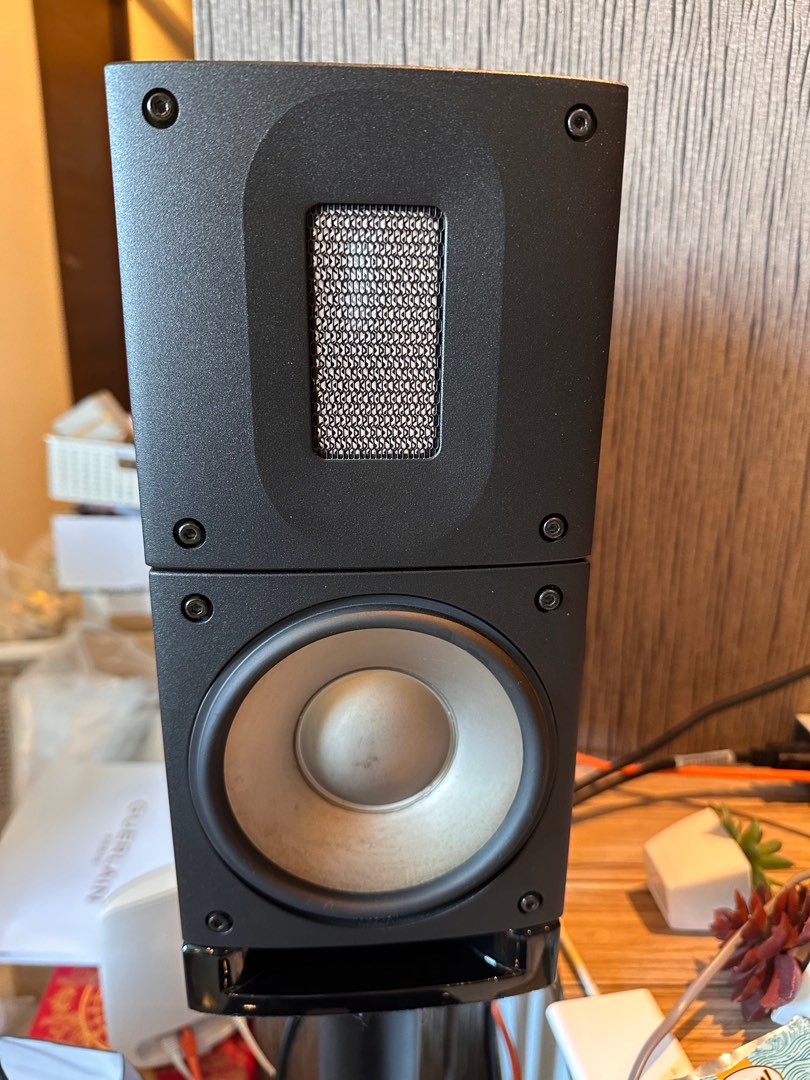 Raidho XT-1 with custom stands (Gaia III installed for both)and ...