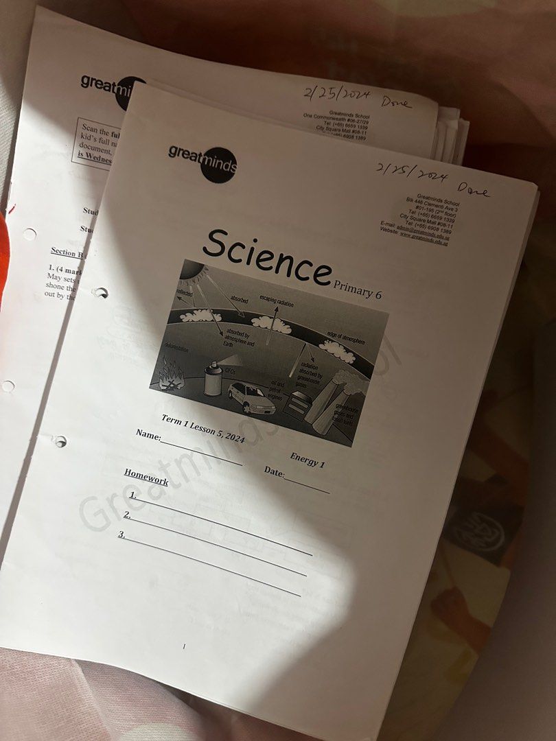 2024 Great Minds Science Primary 6 Worksheet, Hobbies & Toys, Books ...