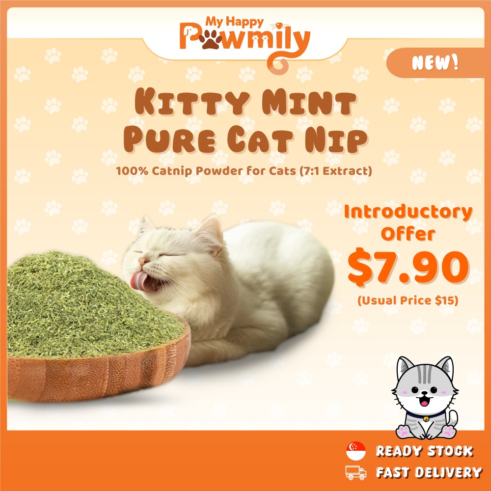 Kitty Mint Pure Cat Nip (7:1 Extract) - 100% Catnip Powder for Cats (260ml), Pet Supplies, Homes ...