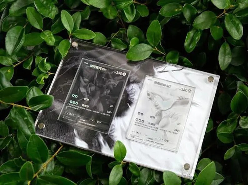 Reshiram ex & Zekrom ex BWR set Custom Pokémon Card Display Frame Case ...