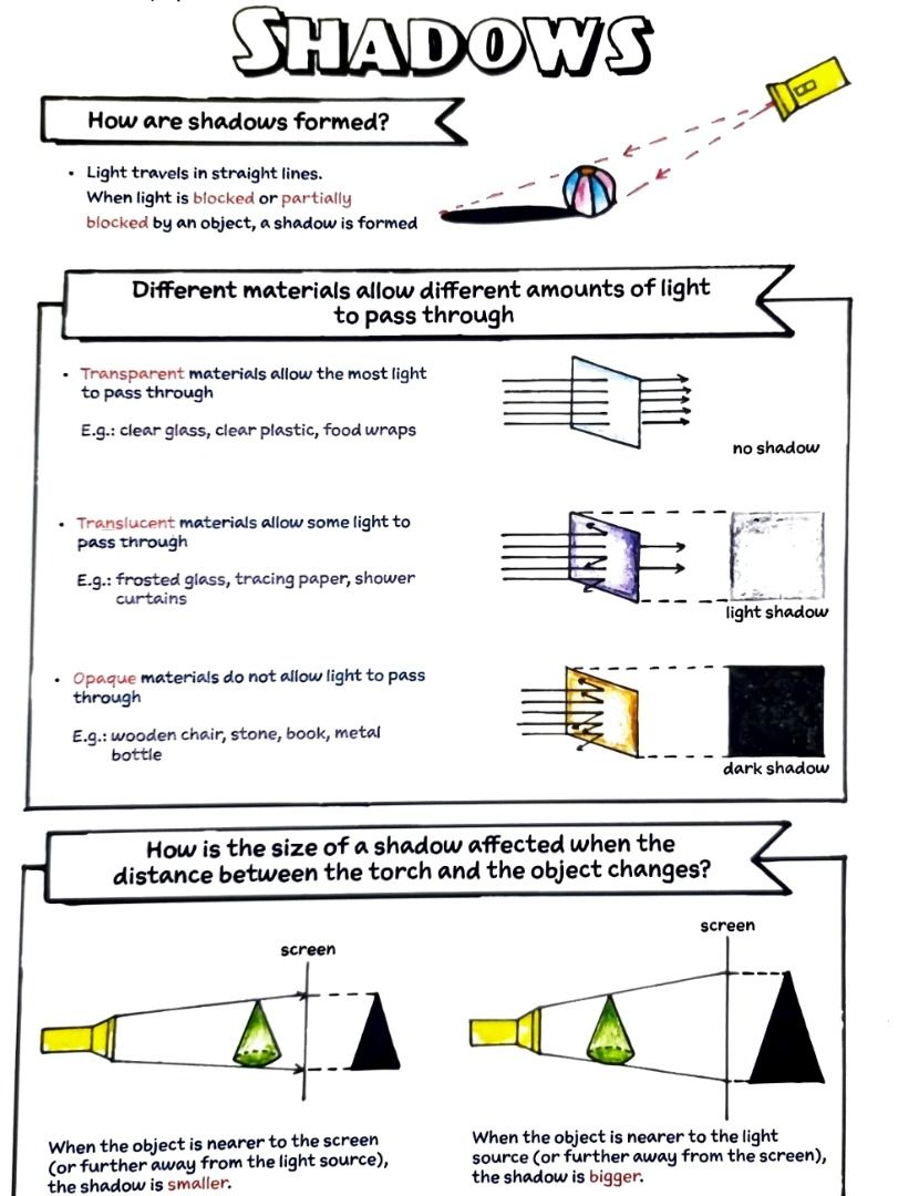 PSLE Science Sketch Notes PDF -2nd Edition, Hobbies & Toys, Books ...
