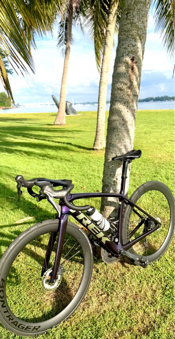 Trek a SL5 Disc Road Bike / Frameset Only, Sports Equipment, Bicycles & Parts, Bicycles on Carousell