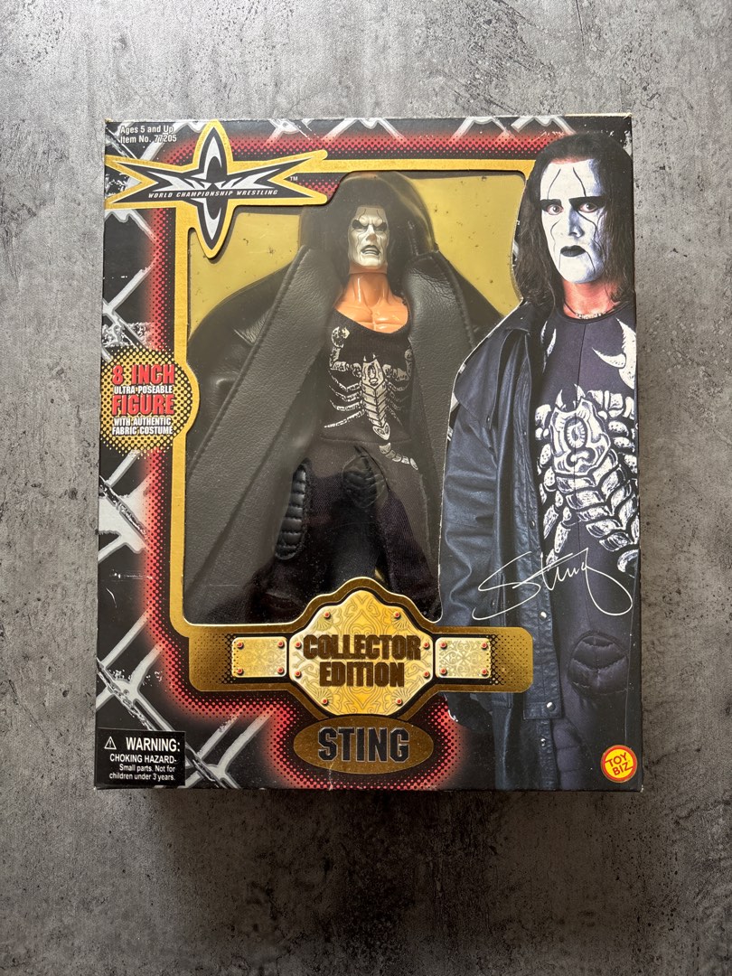 WCW Vintage Collector Edition Sting Action Figure, Hobbies & Toys, Toys ...