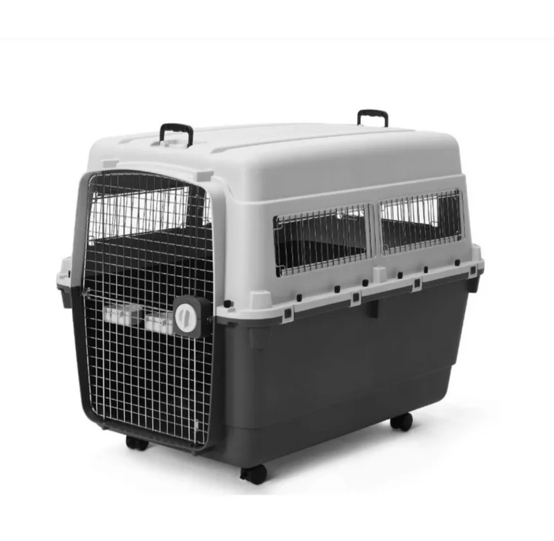 Xtra Large Pet Crate- Airline Approved, Pet Supplies, Homes & Other Pet ...