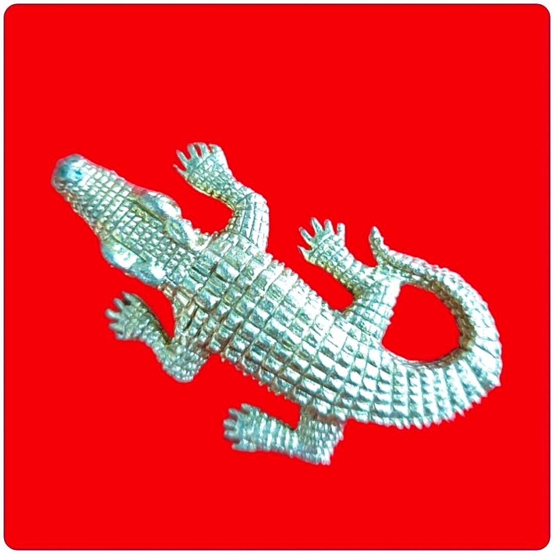 [$48] Wealth Fetching Crocodile with Yant/Phaya Kumpi Maha Setti Roop ...