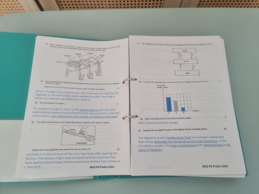 PSLE Primary 6 Science Prelim Papers, Hobbies & Toys, Books & Magazines ...