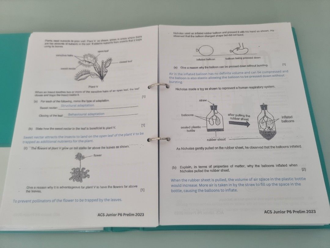 PSLE Primary 6 Science Prelim Papers, Hobbies & Toys, Books & Magazines ...
