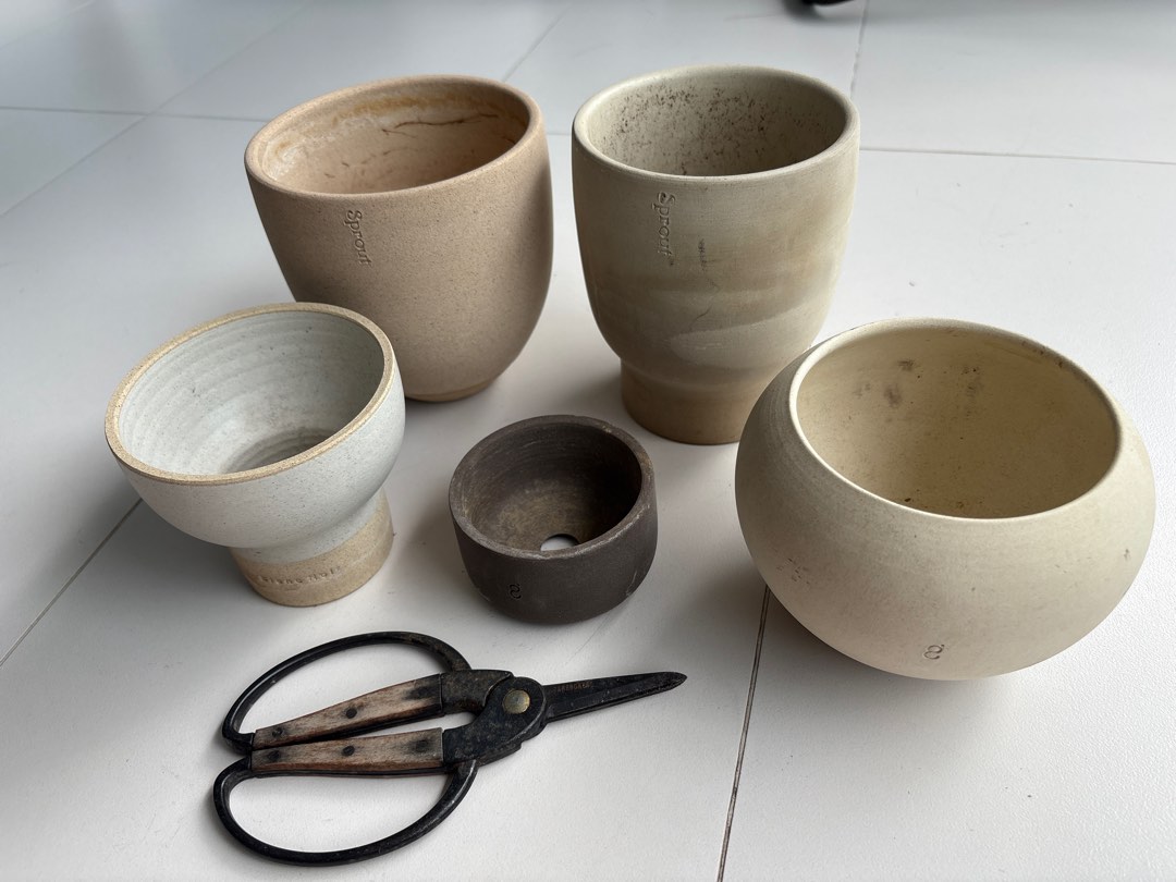 Sprouts Ceramic Pots from Soilboy, Furniture & Home Living, Gardening ...