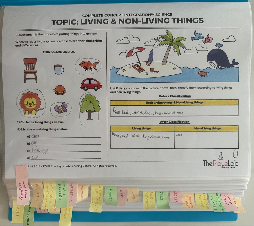 The Pique Lab Science Notes from Complete Concept Integration Course ...