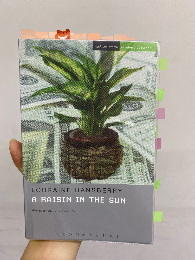 A Raisin in the Sun, Hobbies & Toys, Books & Magazines, Fiction & Non ...