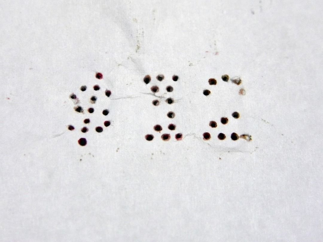 Antique Wesley Mfg Co., USA, Mechanical Cheque Perforator/Protectograph ...