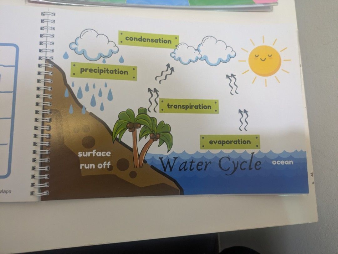 Cool Science Mind Maps & Fun Grids Workbooks, Hobbies & Toys, Books ...