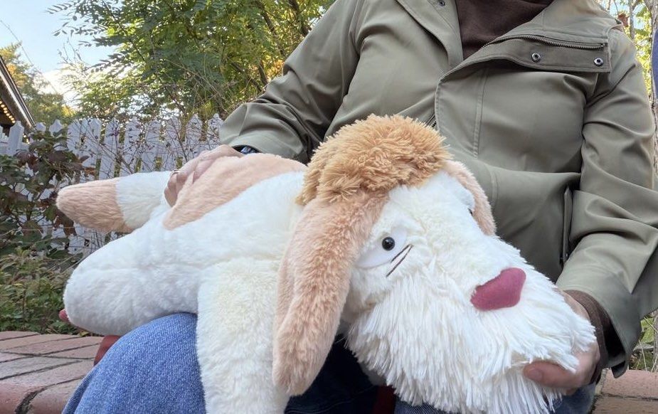 Heen Plush Toy (Howl’s Moving Castle), Hobbies & Toys, Toys & Games on ...