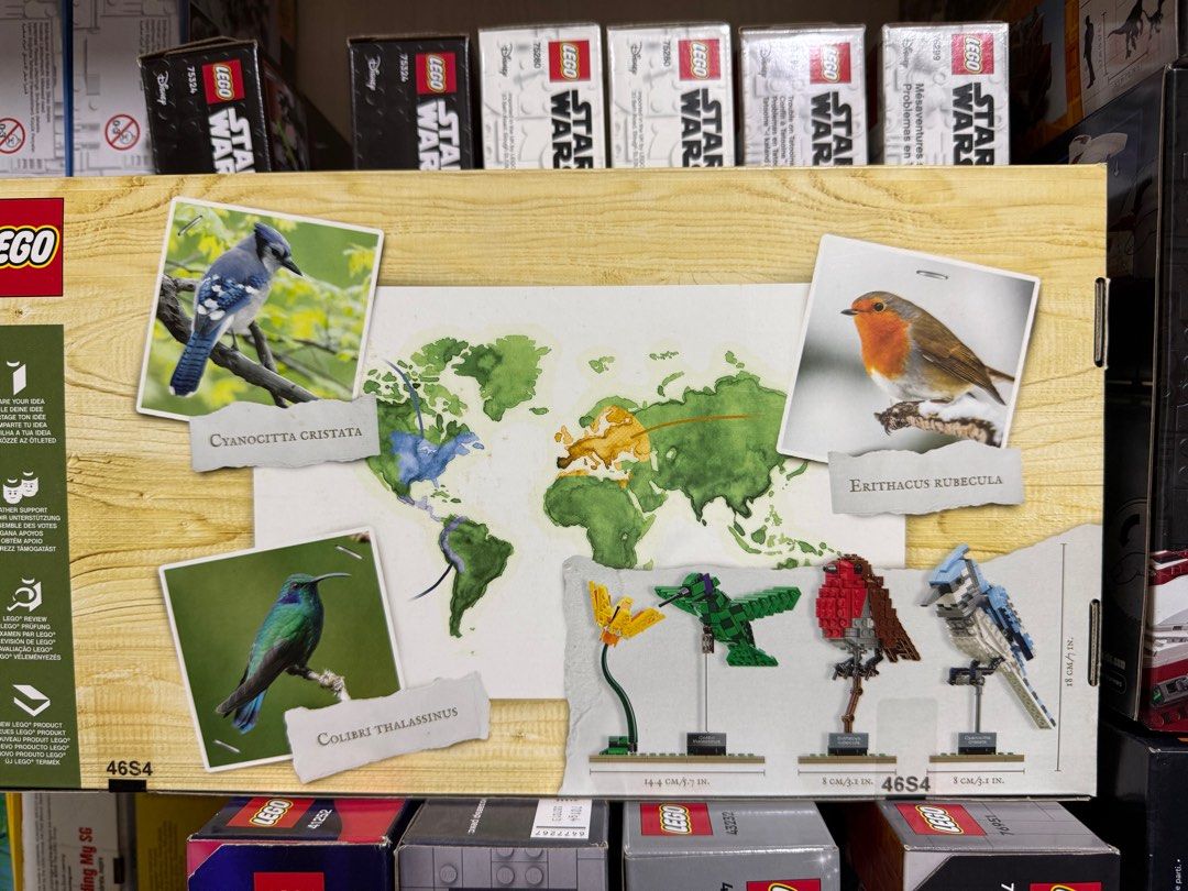 LEGO Ideas 21301 Birds Set, Hobbies & Toys, Toys & Games on Carousell