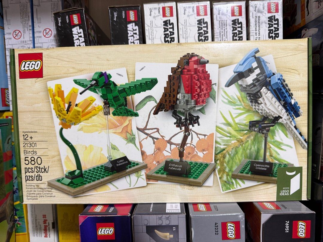 LEGO Ideas 21301 Birds Set, Hobbies & Toys, Toys & Games on Carousell