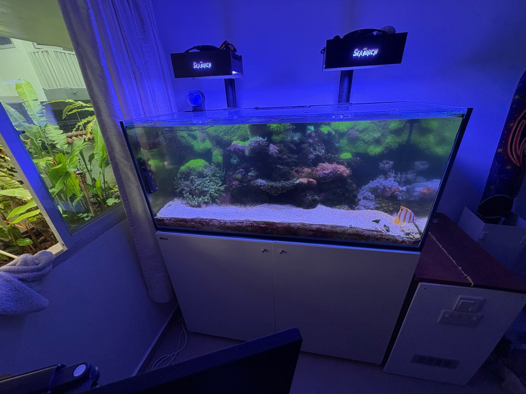Red Sea Reefer 350 Reef Fish Tank, Pet Supplies, Homes & Other Pet ...