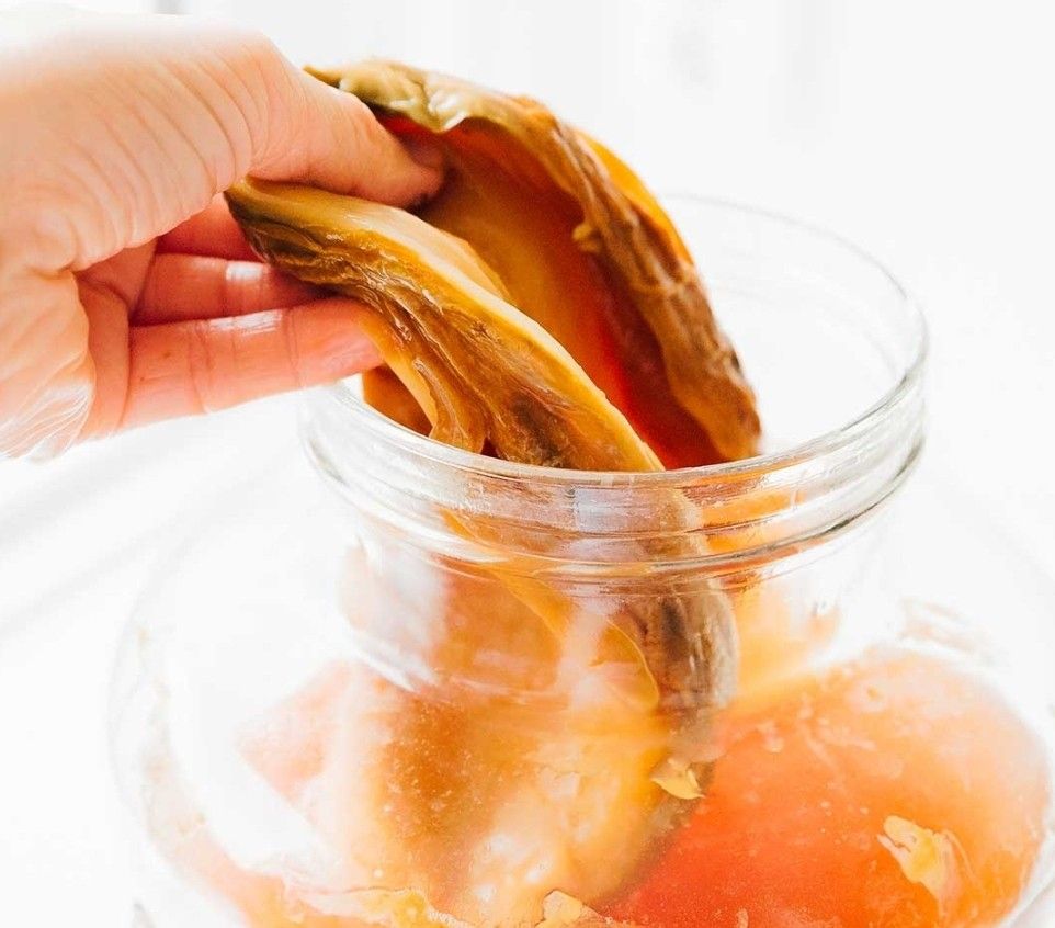 Simei Scoby starter kombucha organic free tea sugar primer live culture ...